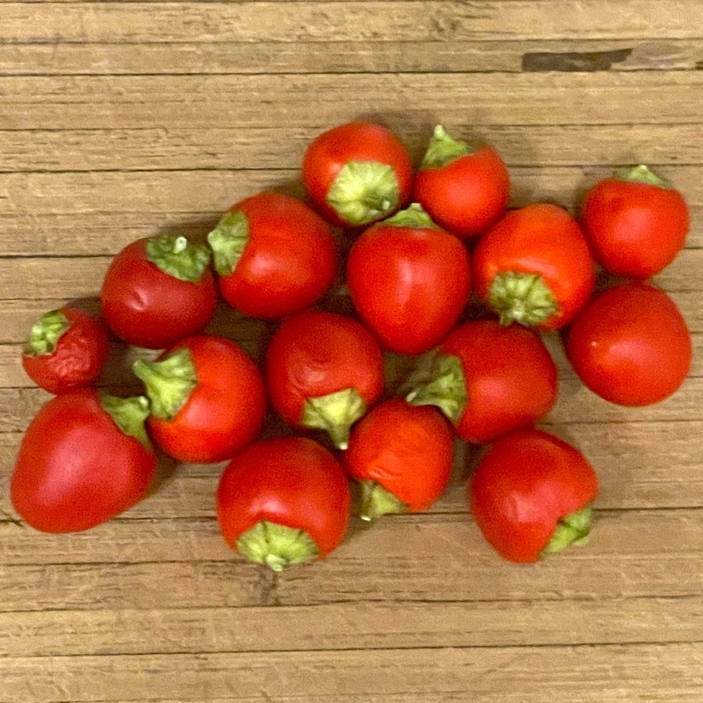 Wiri Wiri Hot Pepper Seeds – Botany By Brunetti